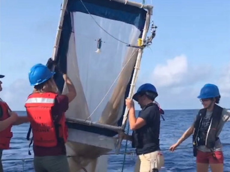 Sea-Gear Corporation | PLANKTON NETS